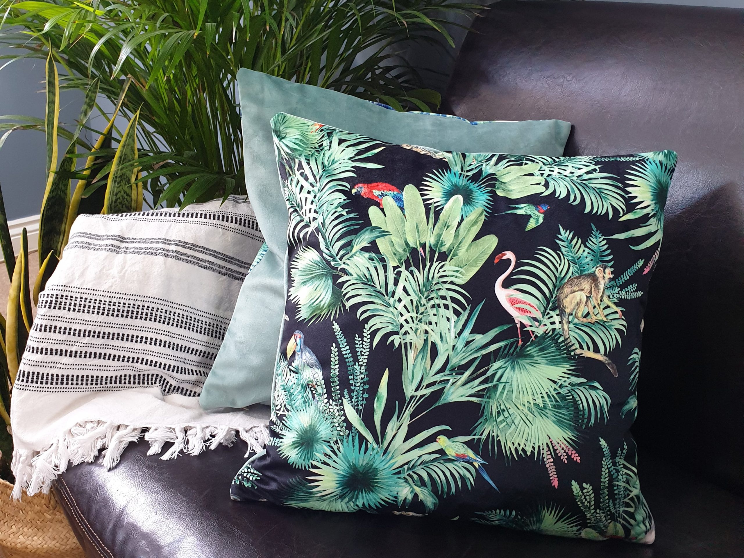 Animal Luxury Velvet Cushion, Black Scatter Cushion - Light Owl